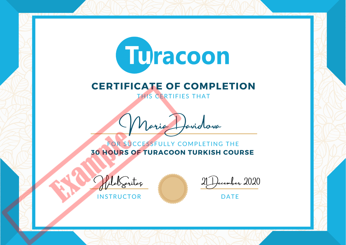 Learn Turkish with Online Lessons From Native Turkish Teachers